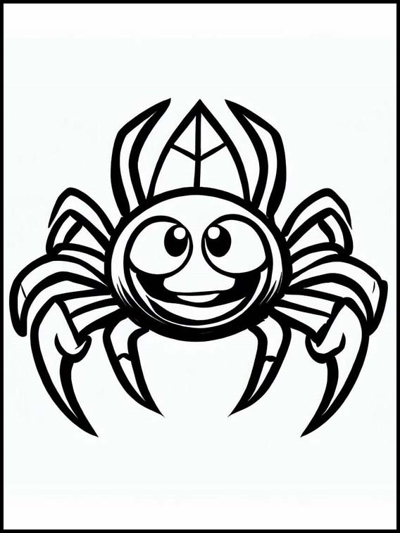 Colouring Spiders - Animals 3